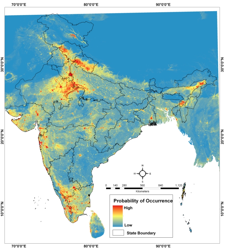 State Bird of Delhi- House sparrow - Green Clean Guide
