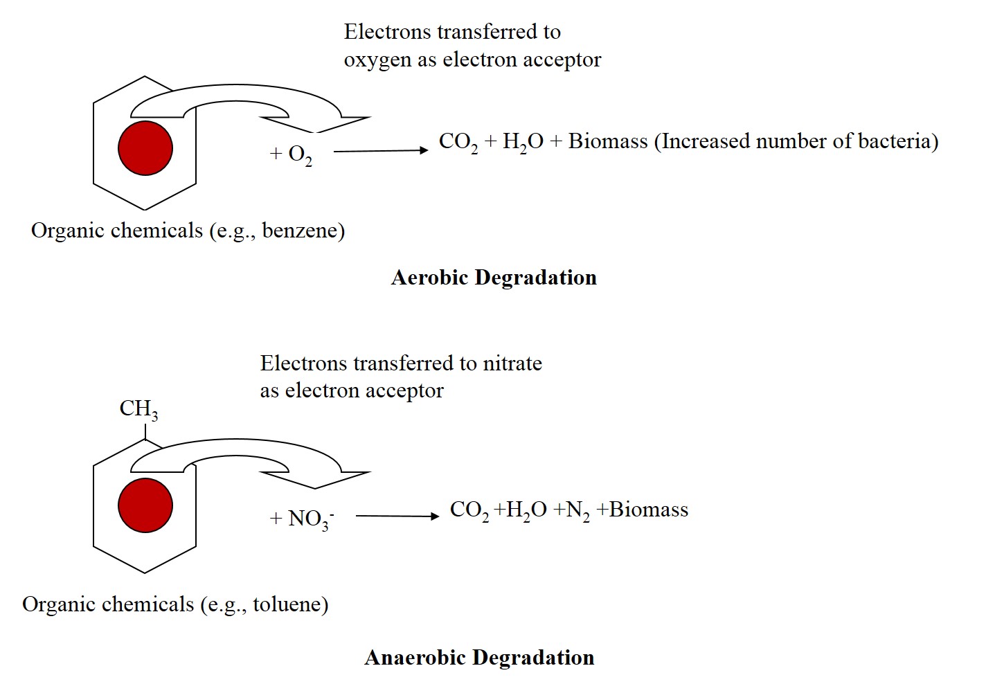 Bioremediation- The New Age Cleansing Technology of the Environment ...