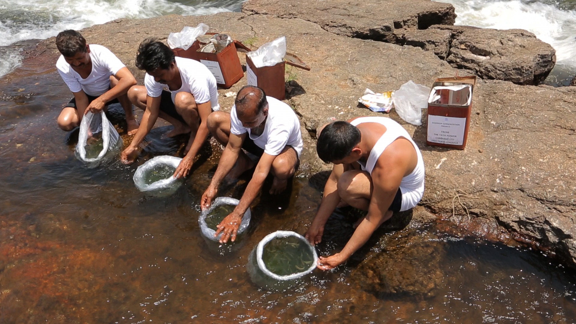 50 YEARS OF EMPOWERING THE MAHSEER - And Blue-Finned is out of the Red ...